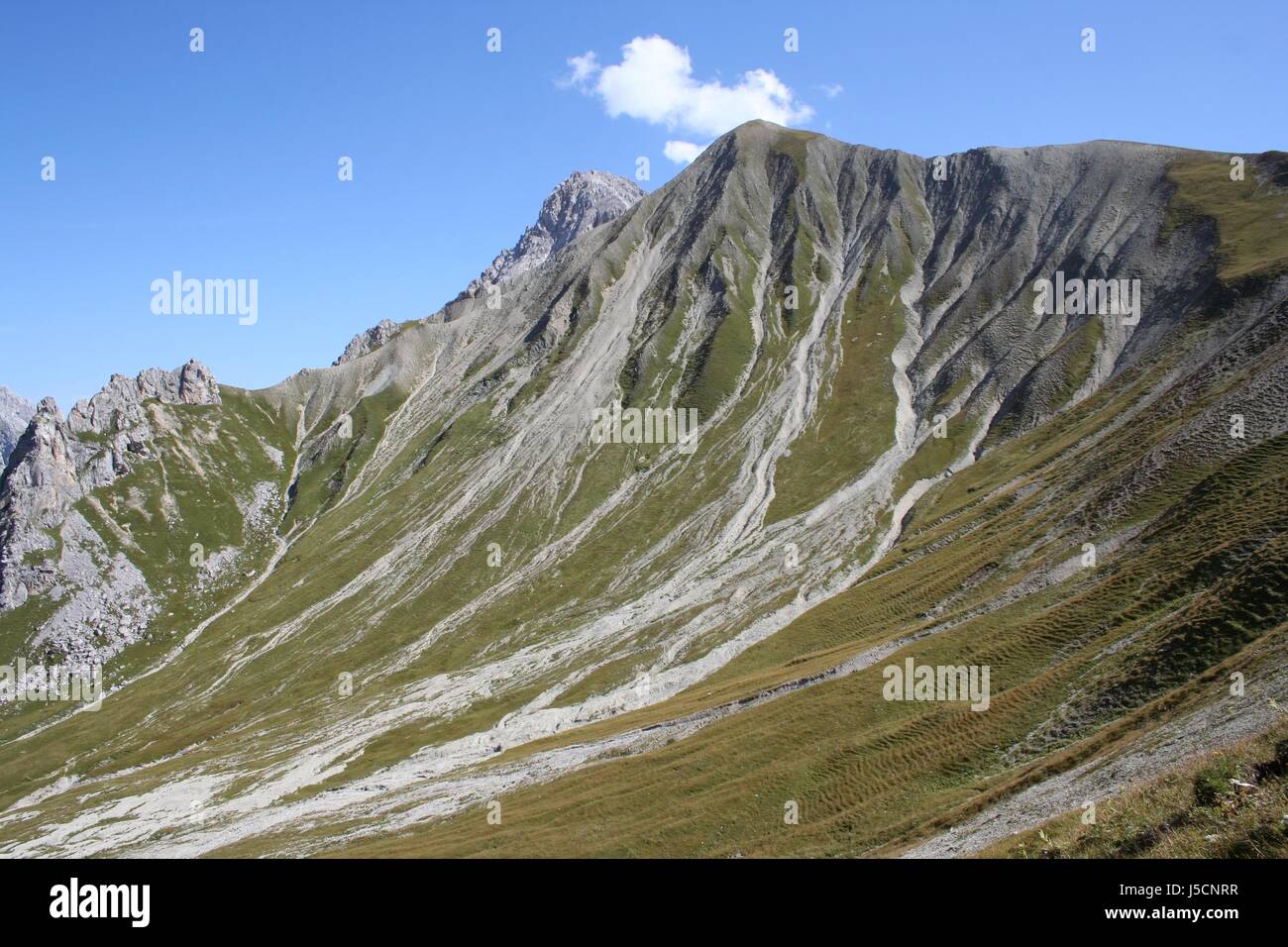 Crest border hi-res stock photography and images - Alamy