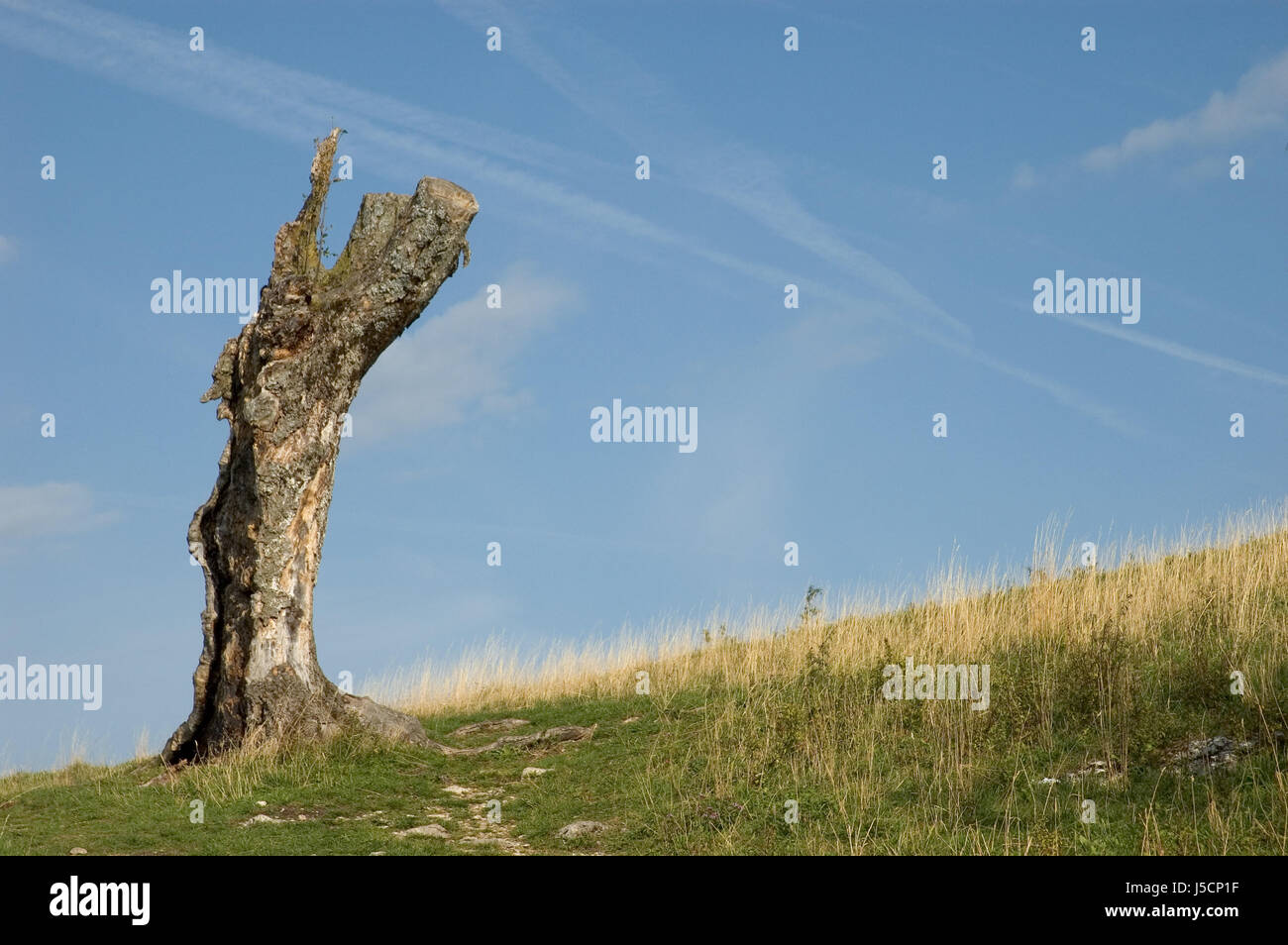 When the last tree is cut hi-res stock photography and images - Alamy