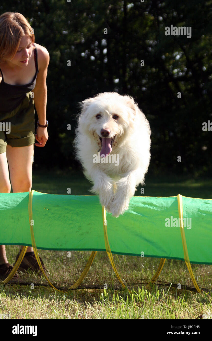 woman humans human beings people folk persons human human being spare ...