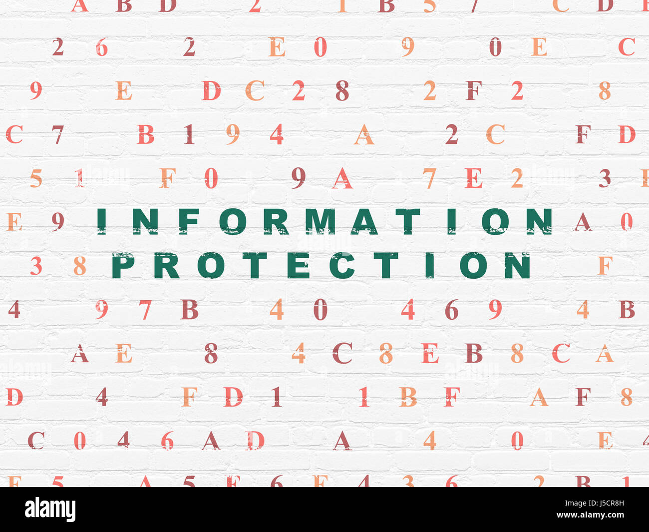 Privacy concept: Information Protection on wall background Stock Photo ...