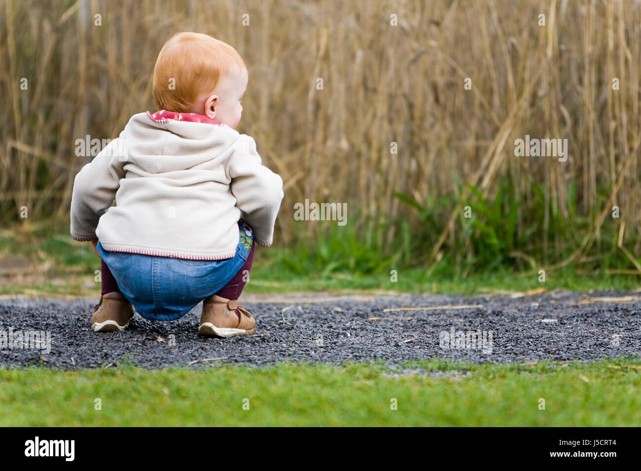 wait waiting dirt road field crouch hairs gravel corn field redheaded ...