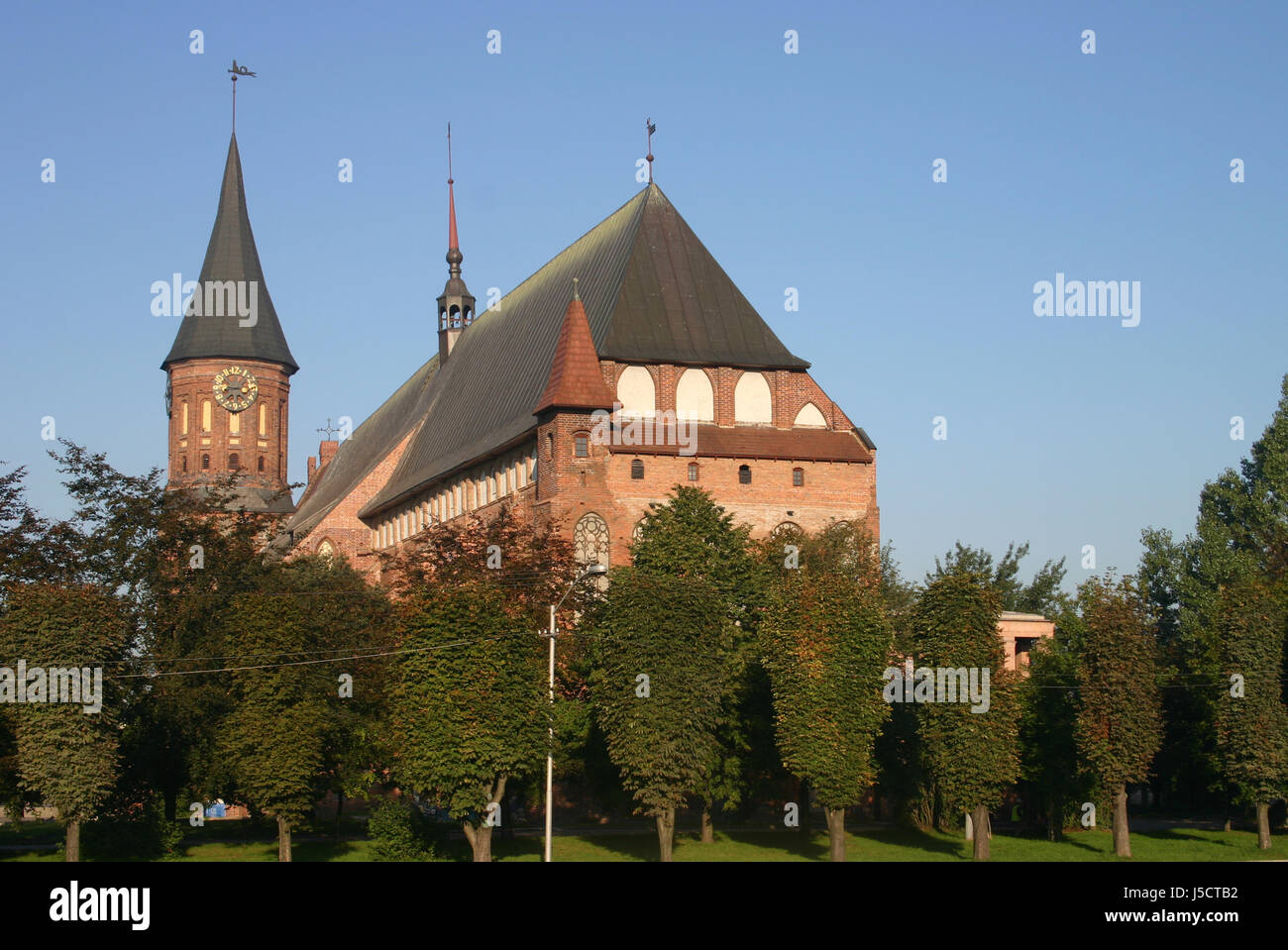 blue tree trees green cathedral russia russian firmament sky knigsberg ...