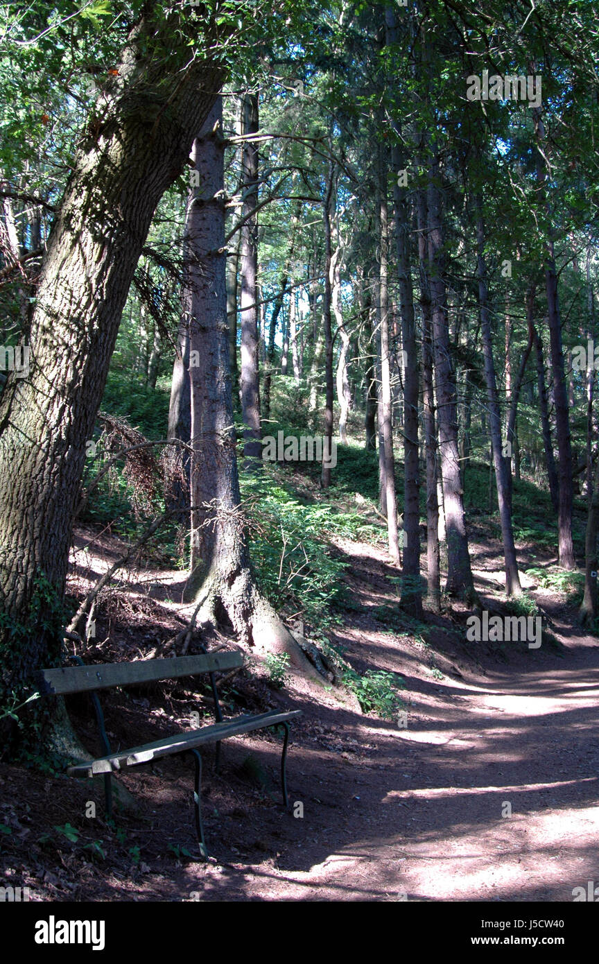 Shady sitting bench hi-res stock photography and images - Alamy