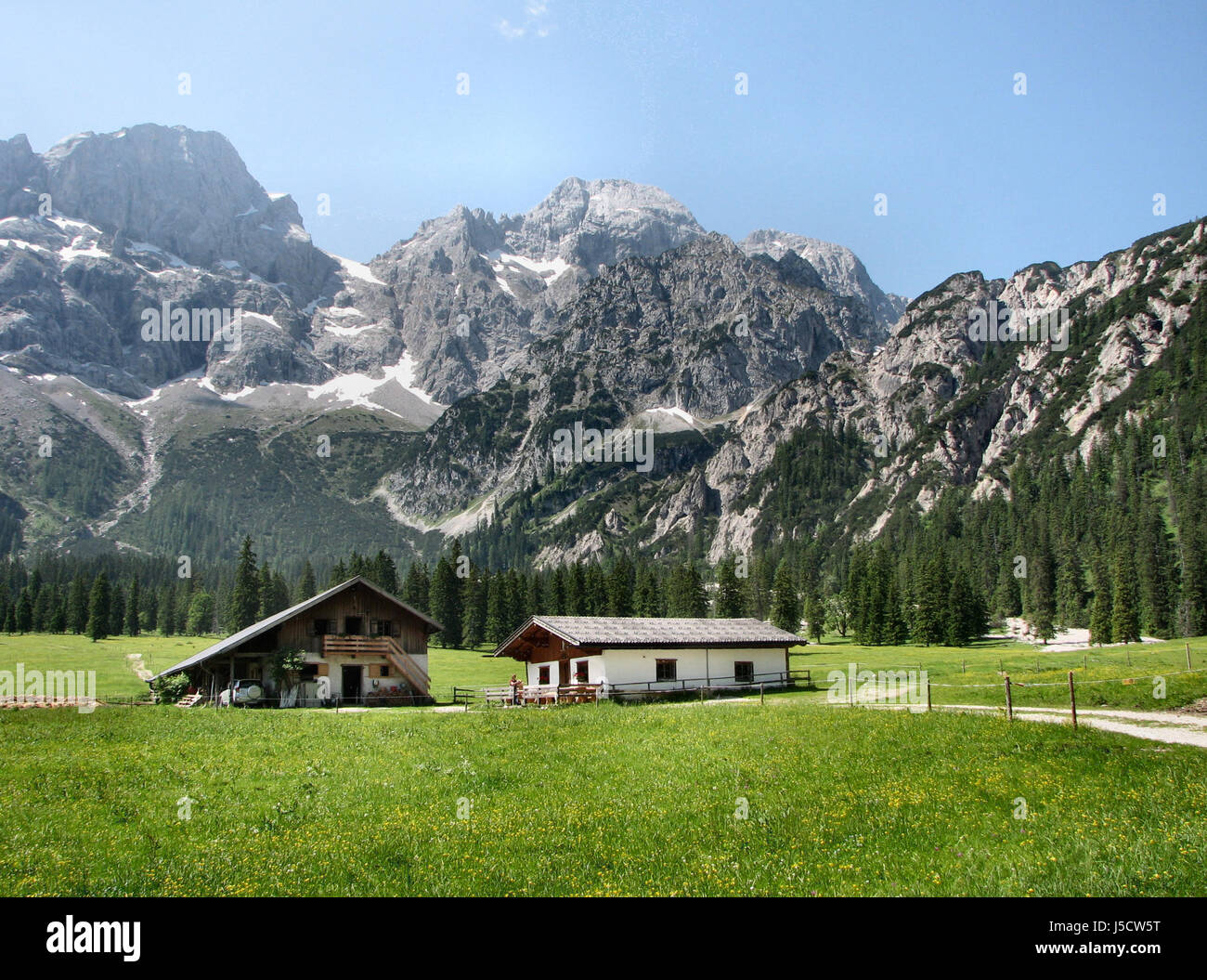 blue stone wood leaves deciduous tree alps alp rock scree balcony ...
