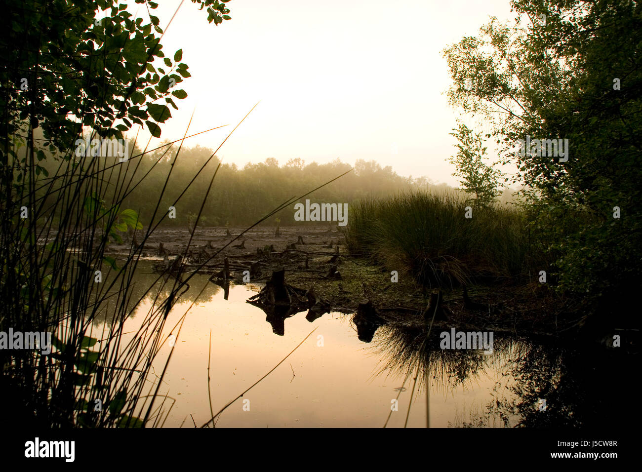 Venner High Resolution Stock Photography and Images - Alamy