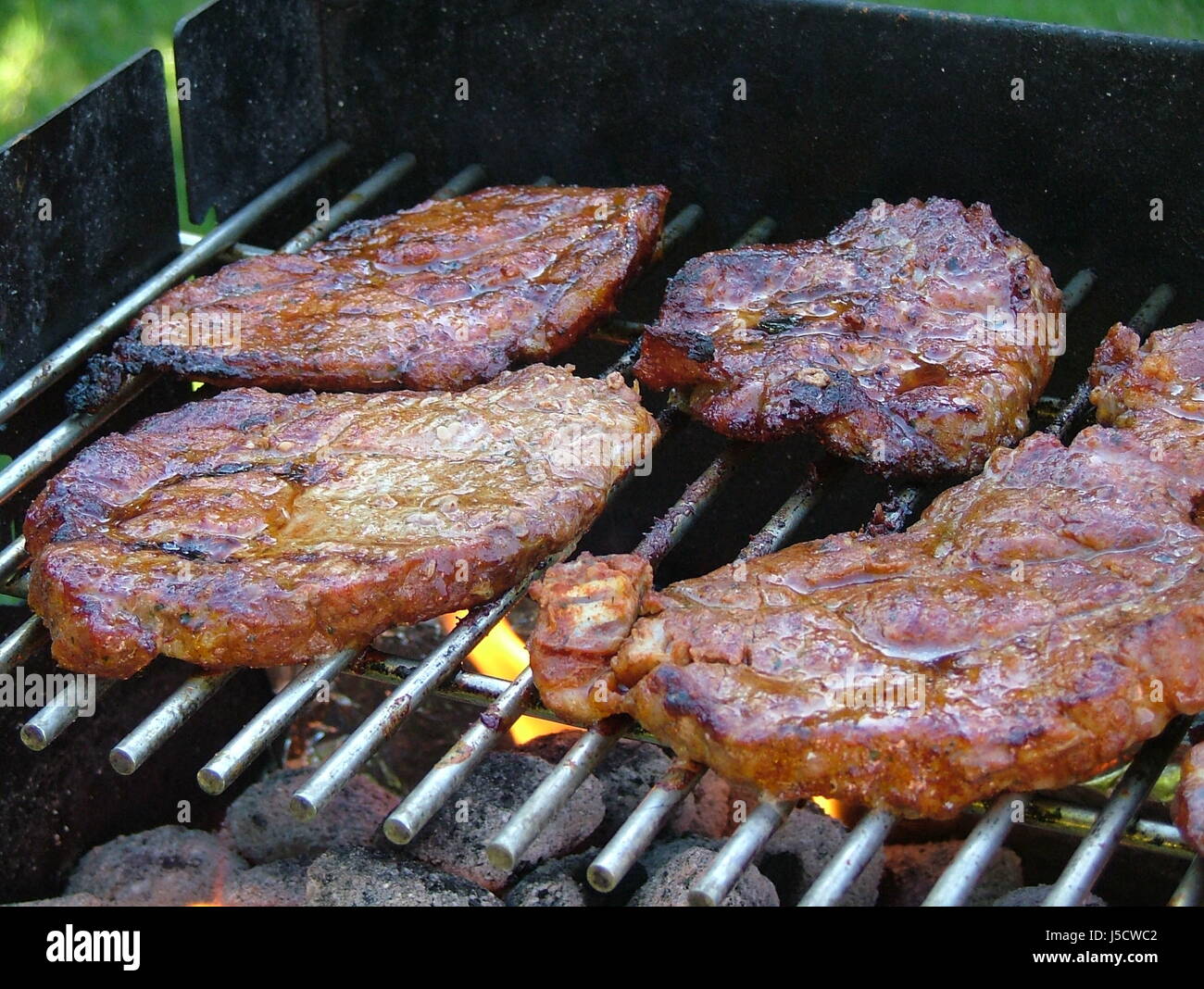 summer summerly fire conflagration grill barbecue barbeque bbq bar-b-q ...