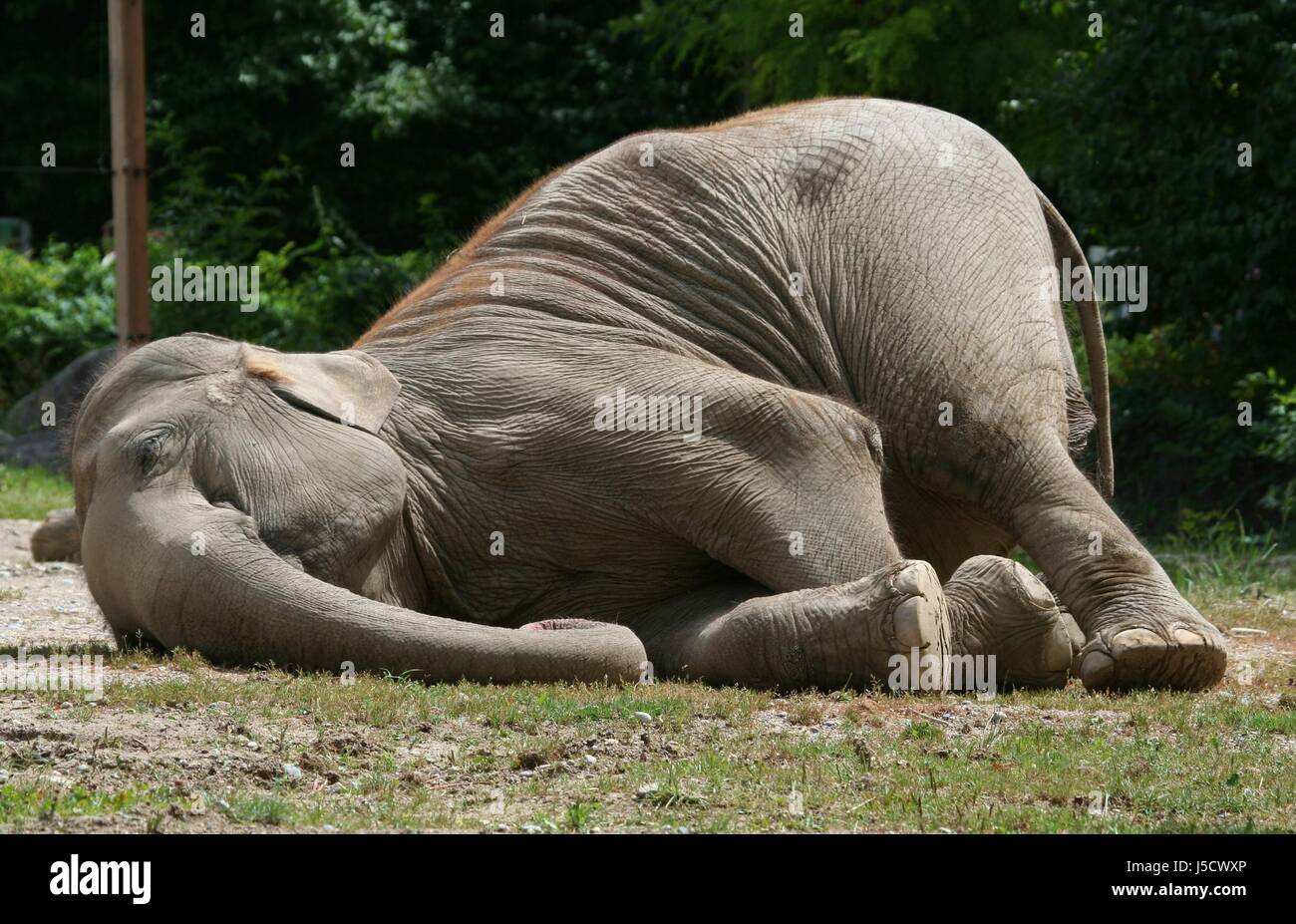 Lopsided hi-res stock photography and images - Alamy