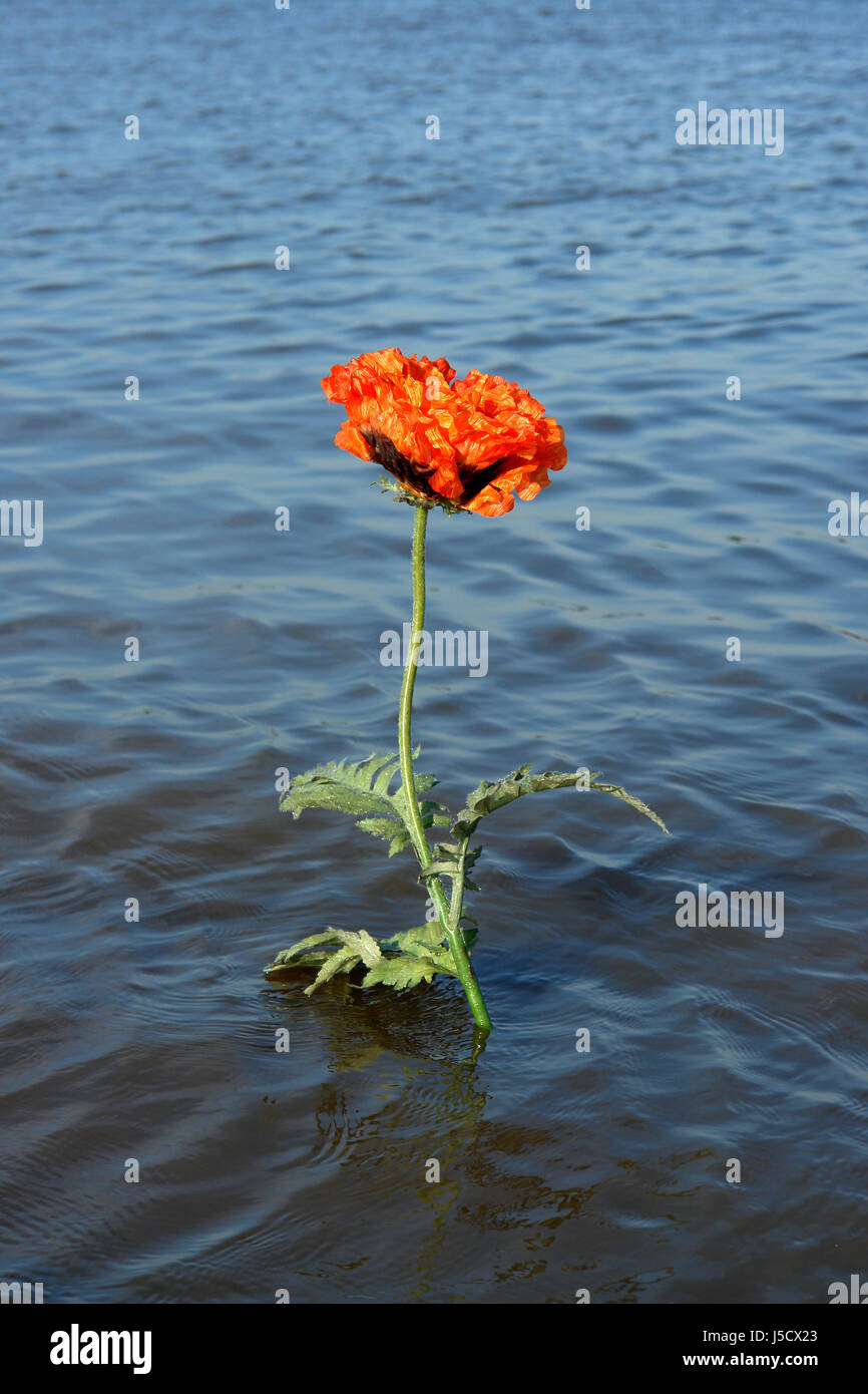 Bertreibung hi-res stock photography and images - Alamy