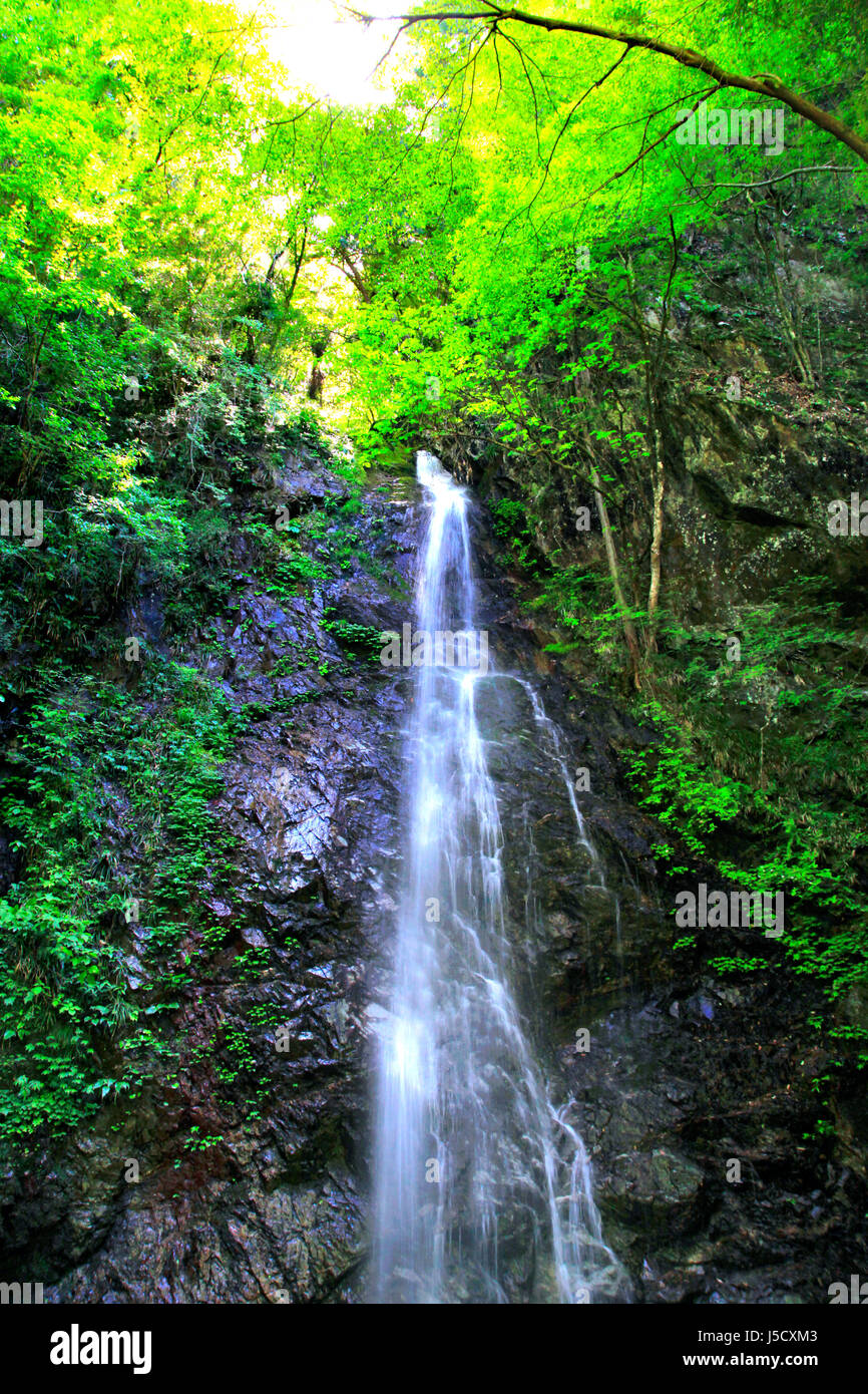 Hinohara hi-res stock photography and images - Alamy