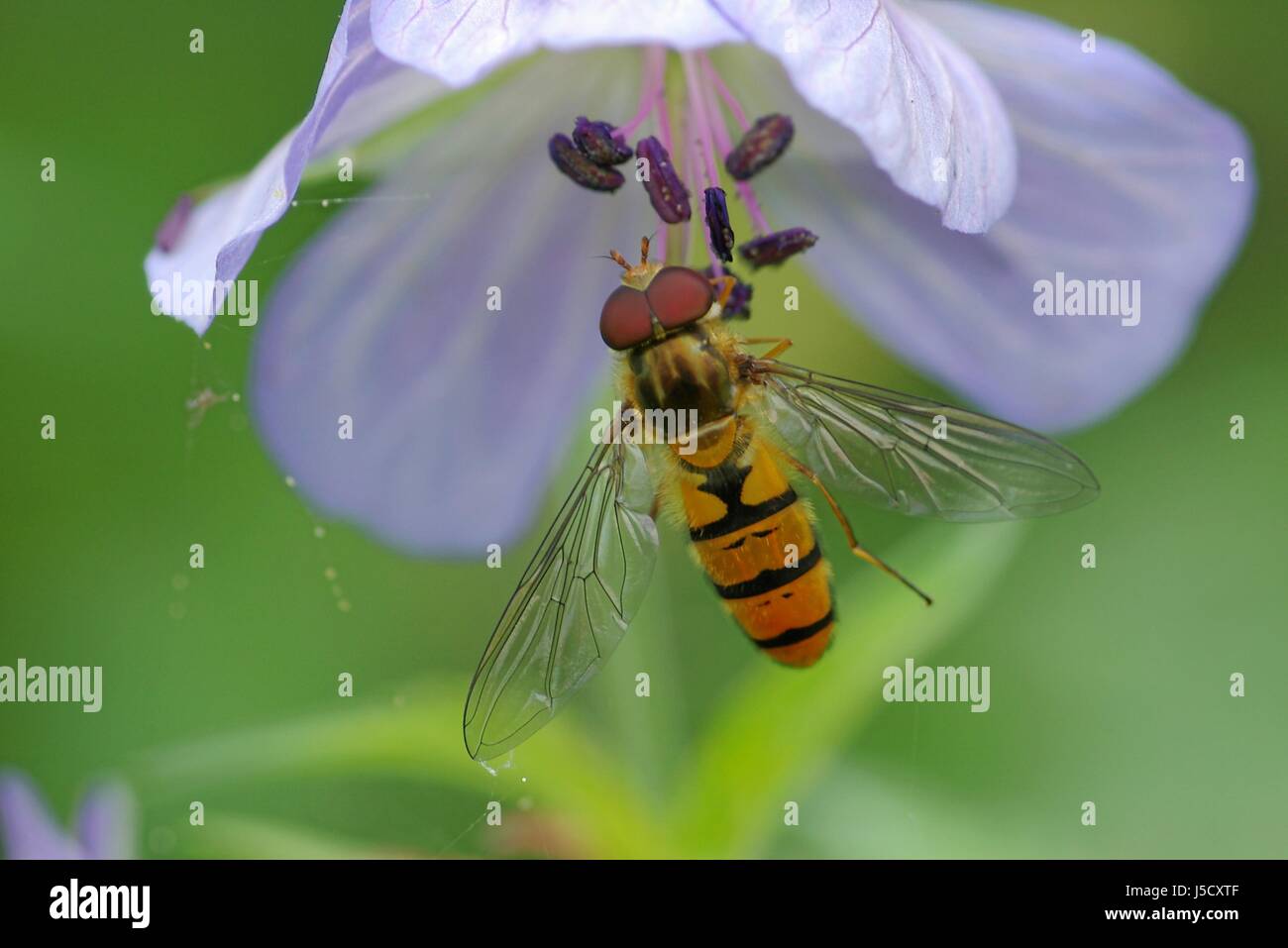 at the source Stock Photo - Alamy