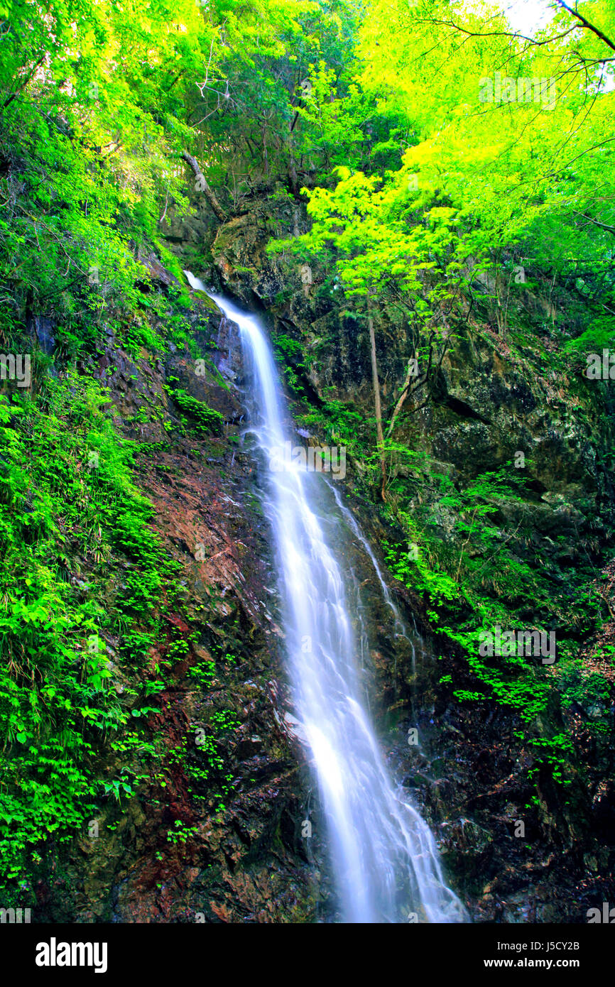 Hinohara hi-res stock photography and images - Alamy