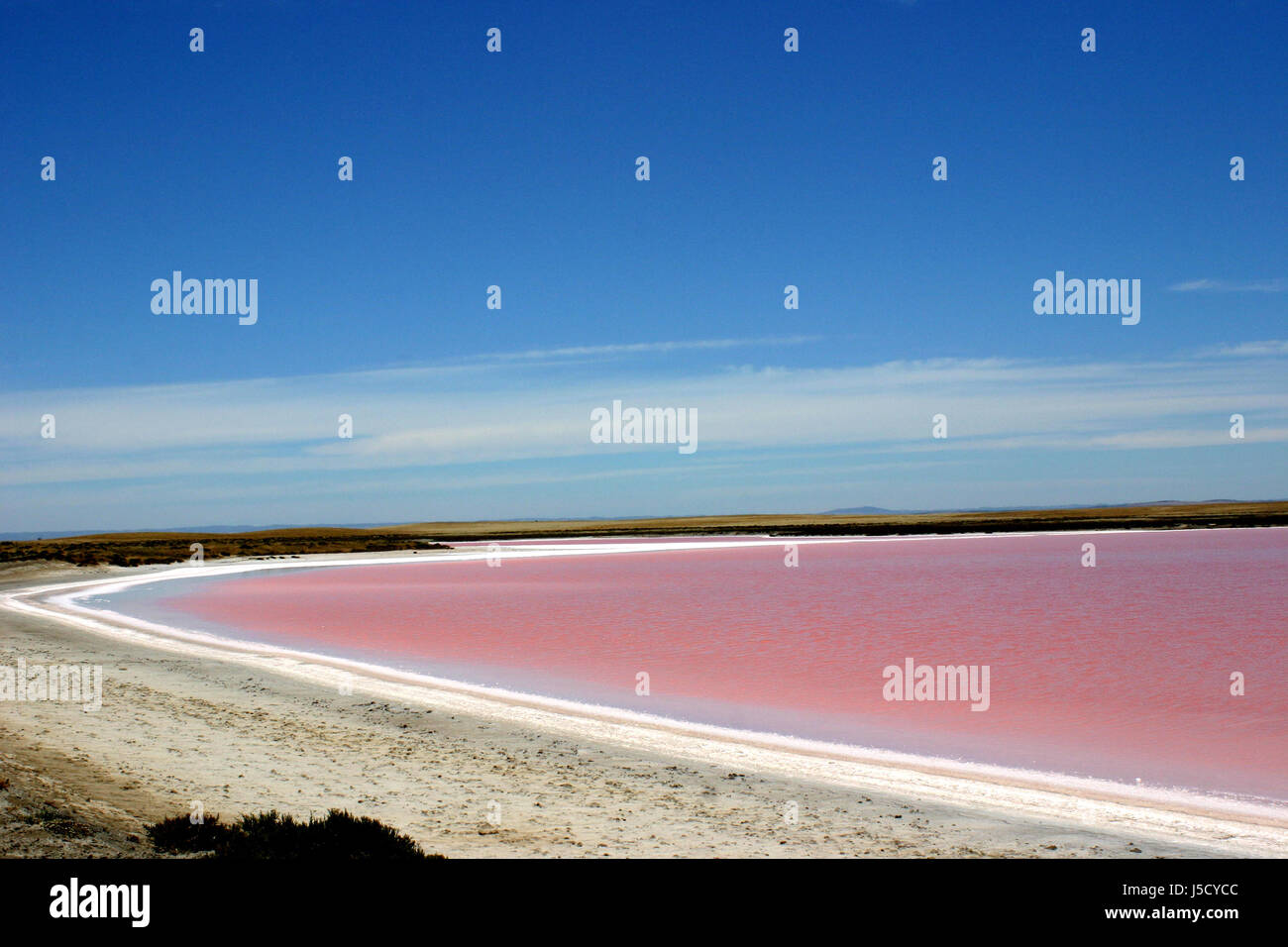 look glancing see view looking peeking looking at pink strand down ...