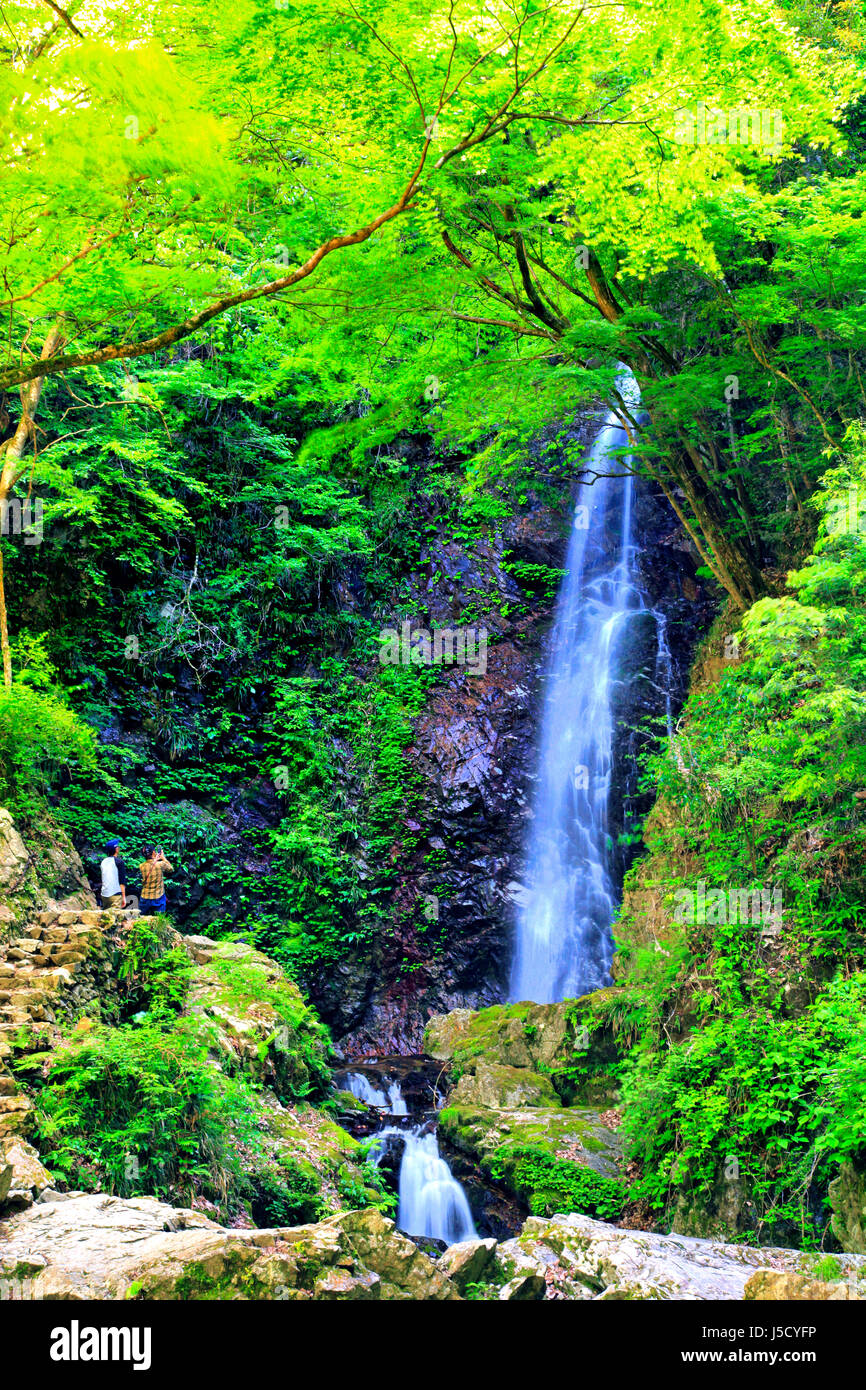 Hinohara hi-res stock photography and images - Alamy