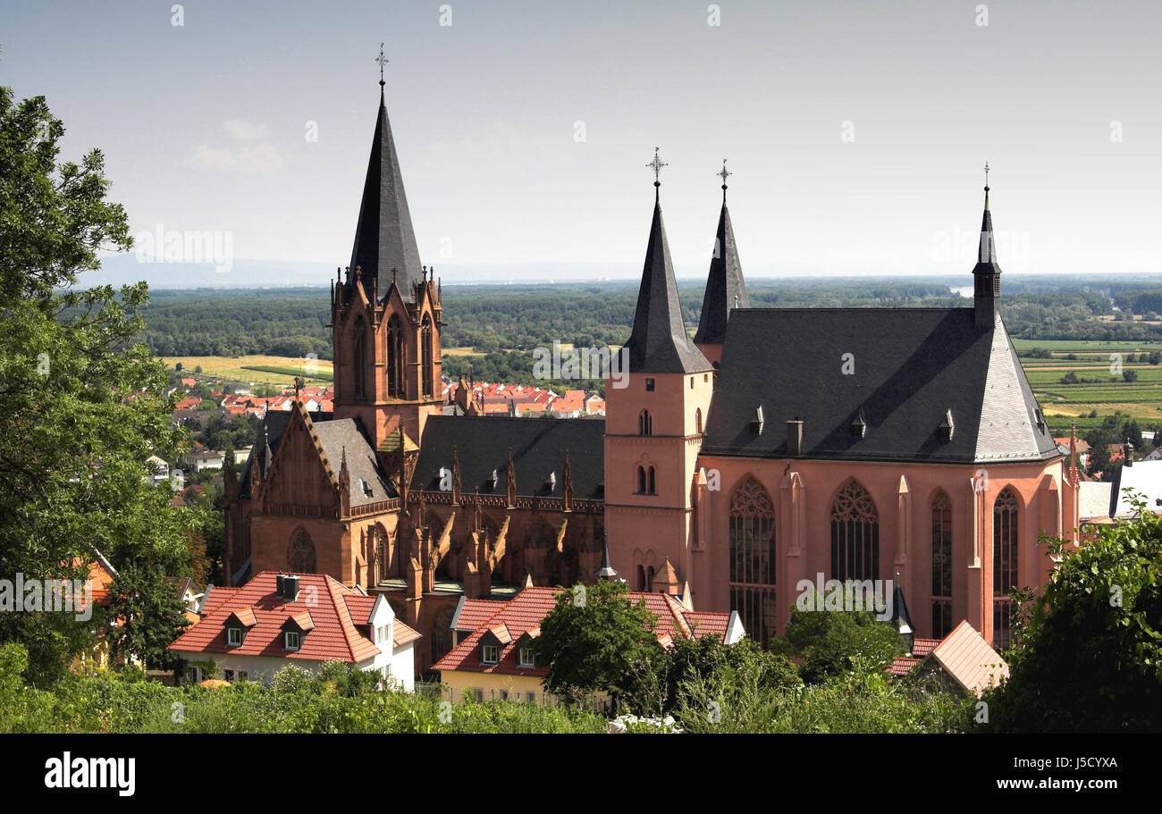 church flower rose plant window porthole dormer window pane rhine ...