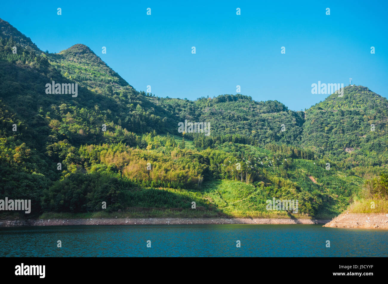 Beautiful reservoir scenery in summer Stock Photo - Alamy