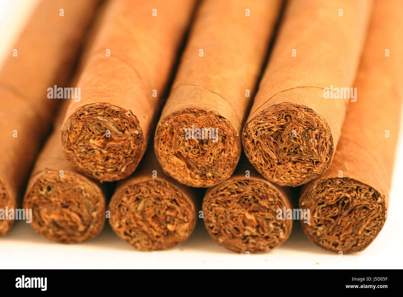 smoke smoking smokes fume cigar tobacco dried cuba semiluxury food ...