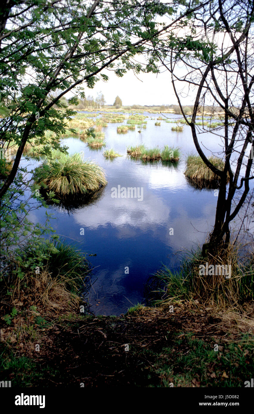 Moorlandschaft hi-res stock photography and images - Alamy
