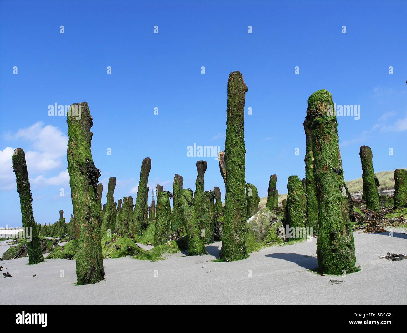 blue green algae breakwater coast protection seaweed firmament sky ...