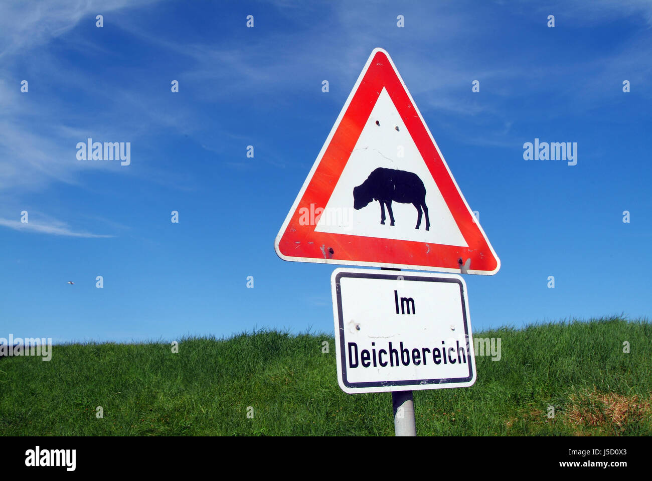 sign signal blue animals black swarthy jetblack deep black signposts ...