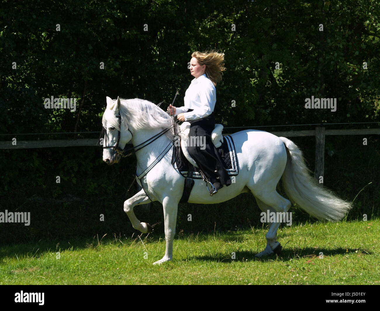 Spanish horse rider hi-res stock photography and images - Alamy