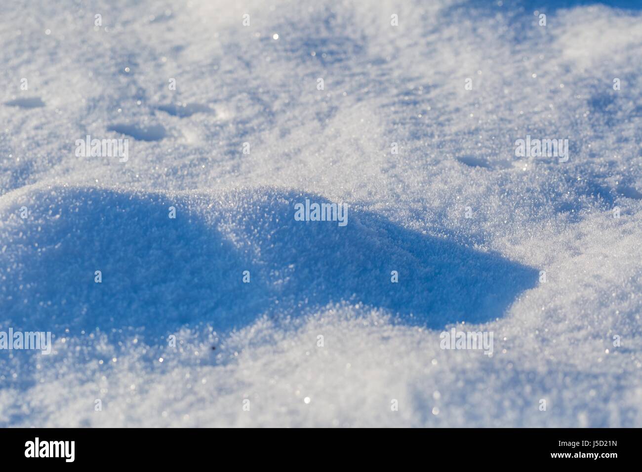 Snow background in close up. Surface of fresh winter snow in sunset ...