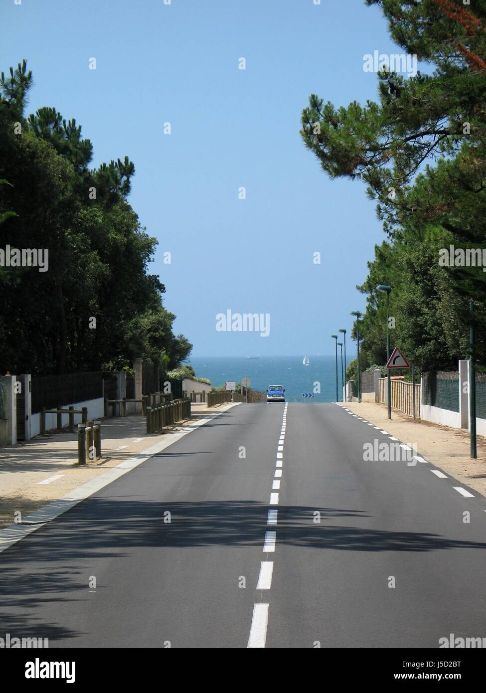 blue tree trees car automobile vehicle means of travel motor vehicle ...