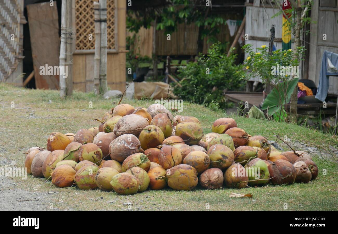 Coconut byproducts hi-res stock photography and images - Alamy