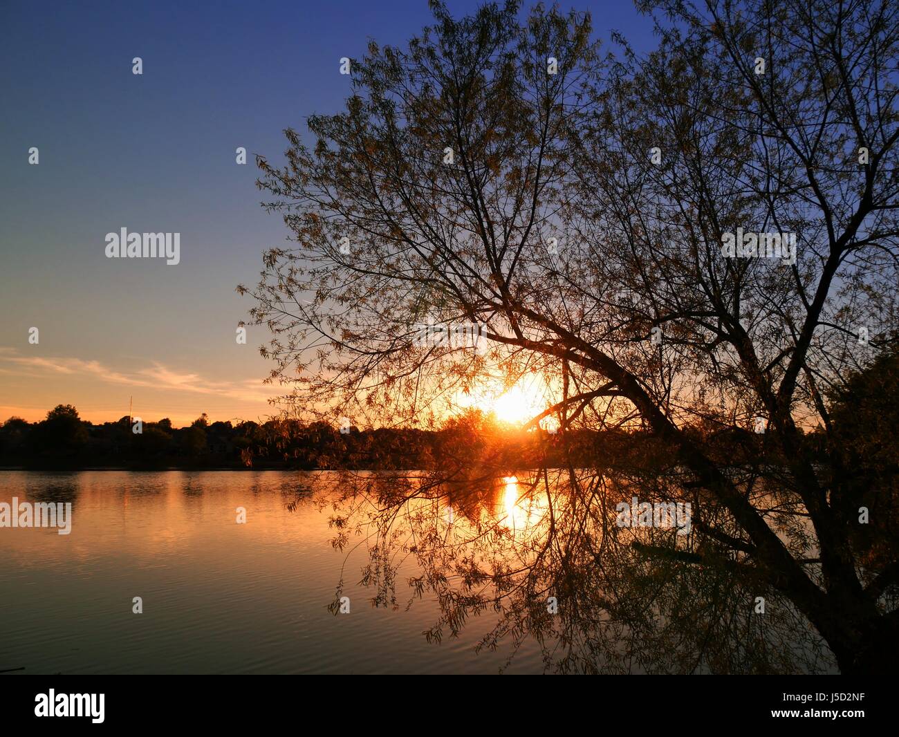 Sunset streaks over the lake with tree silhouette The sun sets behind a ...