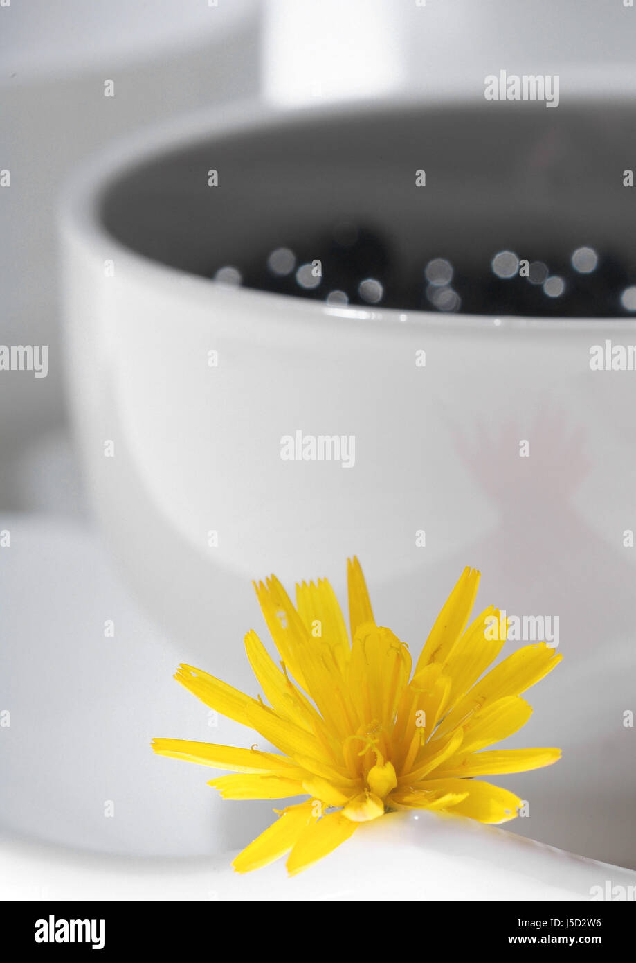 Bw still hi-res stock photography and images - Alamy