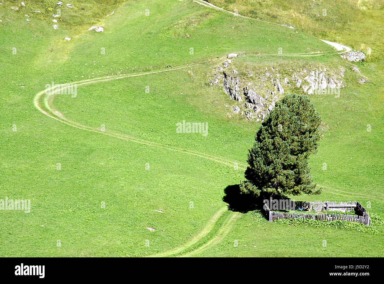 upwards tree mountains garden dirt road hike go hiking ramble rock ...