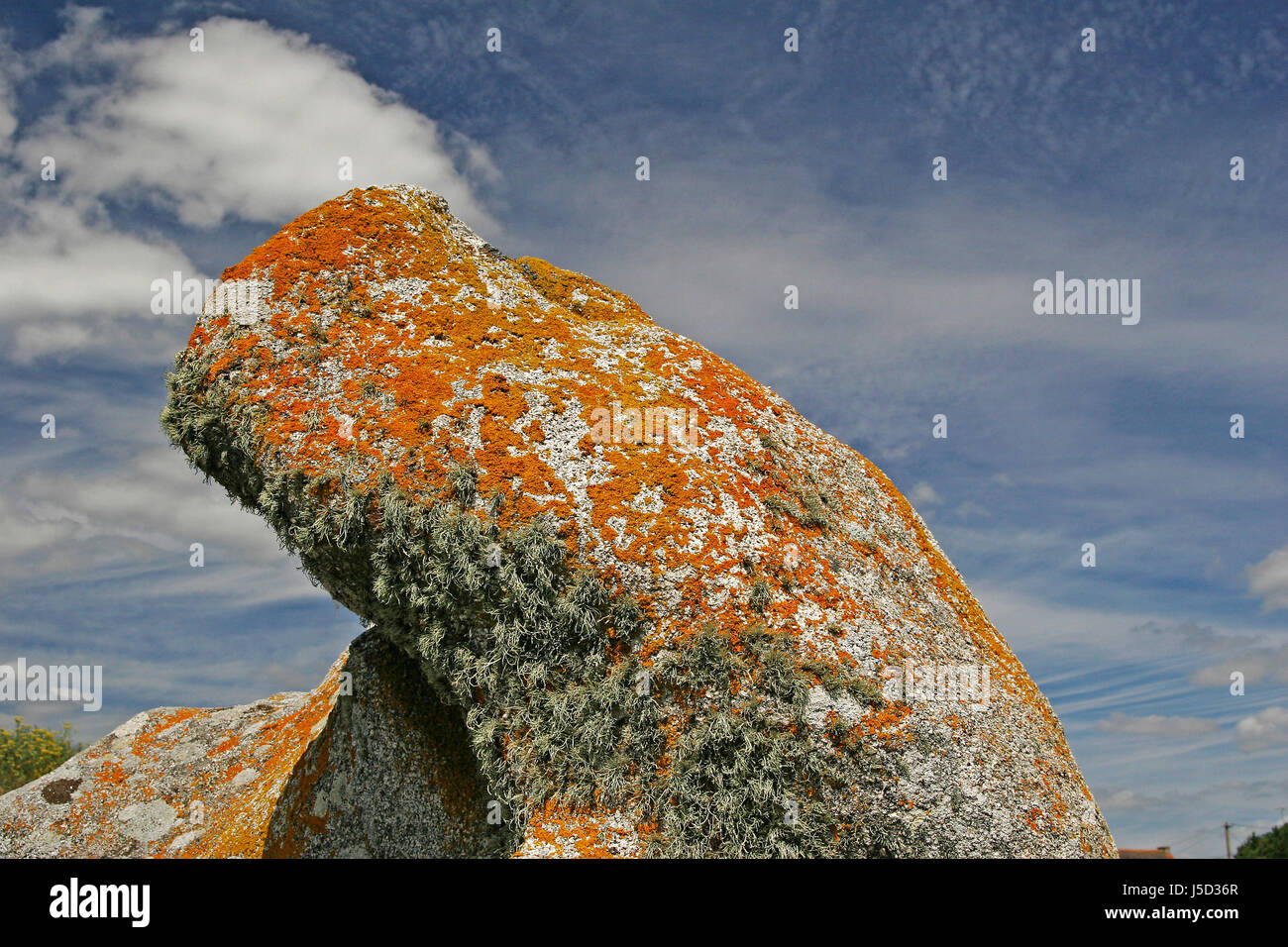 stone rock france brittany foreground plait lichens orange stones ... stone rock france brittany foreground plait lichens orange stones ...