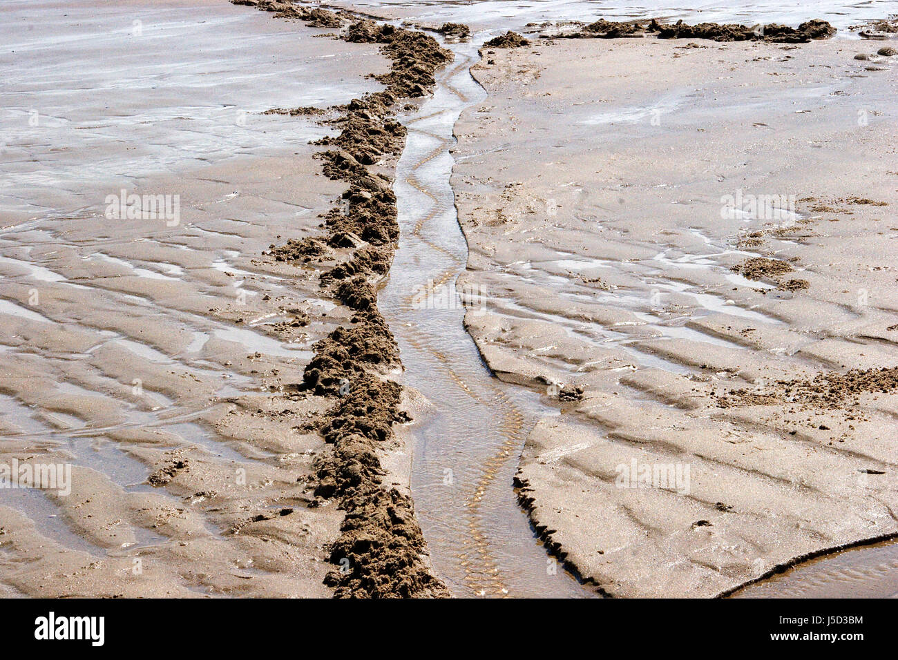 track in the sand Stock Photo - Alamy