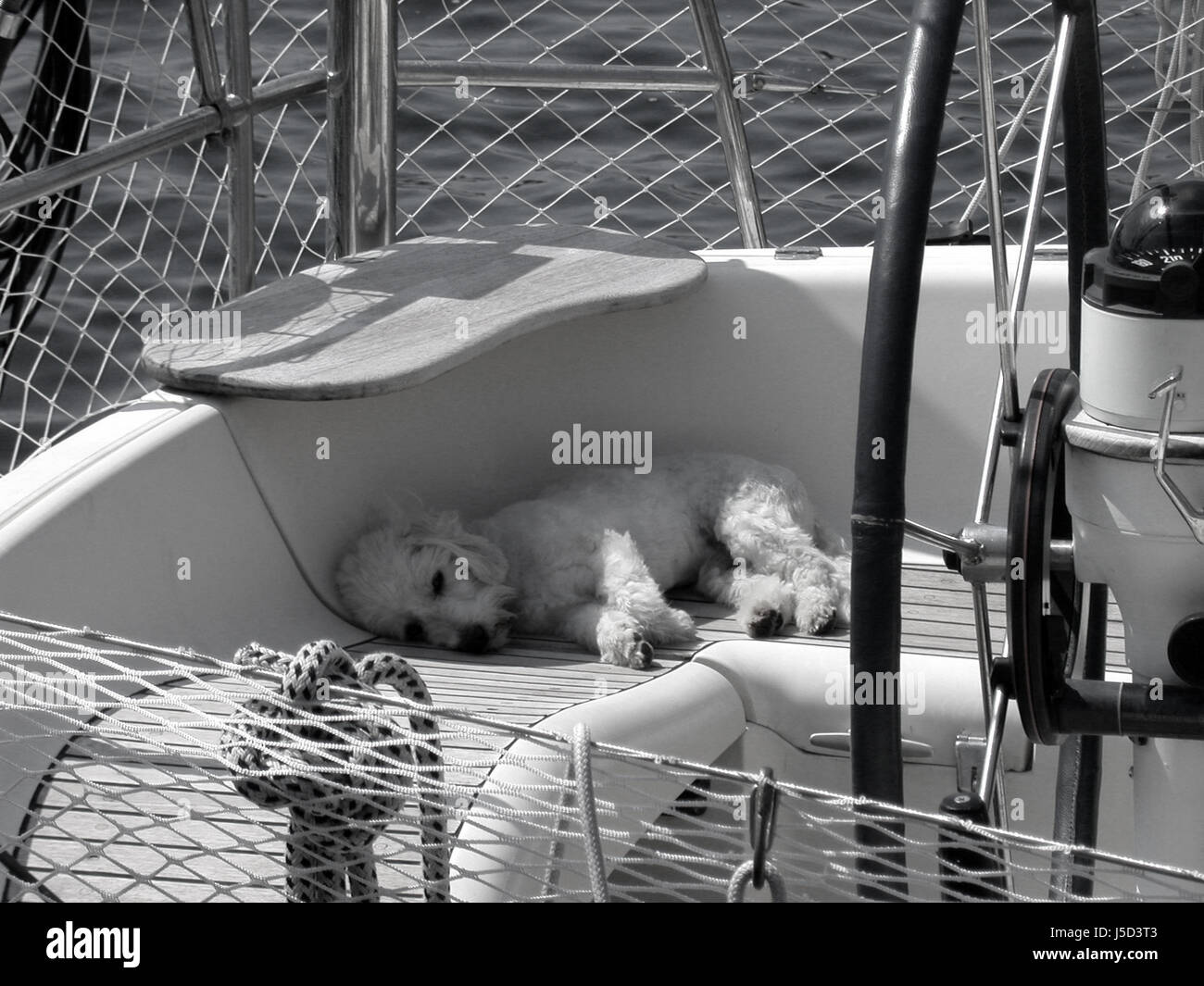 Schiffshund hi-res stock photography and images - Alamy