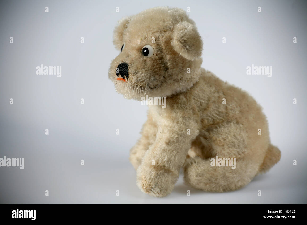 Mopsy hi-res stock photography and images - Alamy