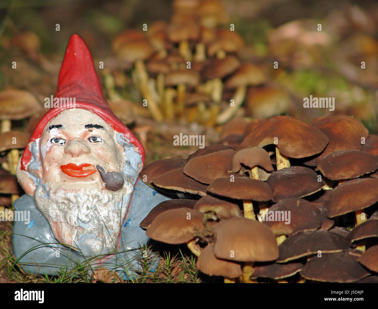 fairy tale dwarf kitsch whistle mushrooms snag mushroom fungus ...