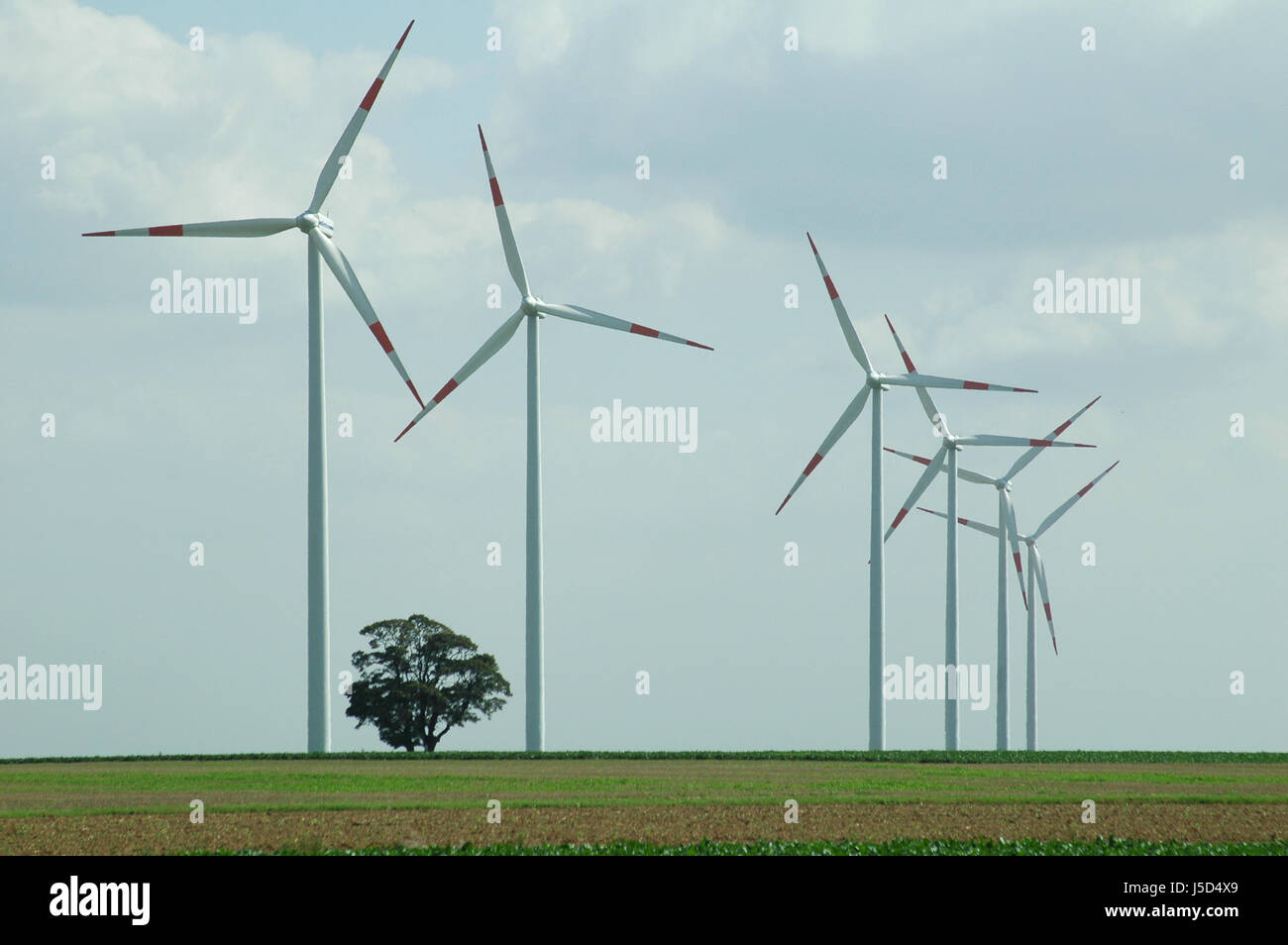 sell tree engineering agriculture farming wing energy power electricity ...