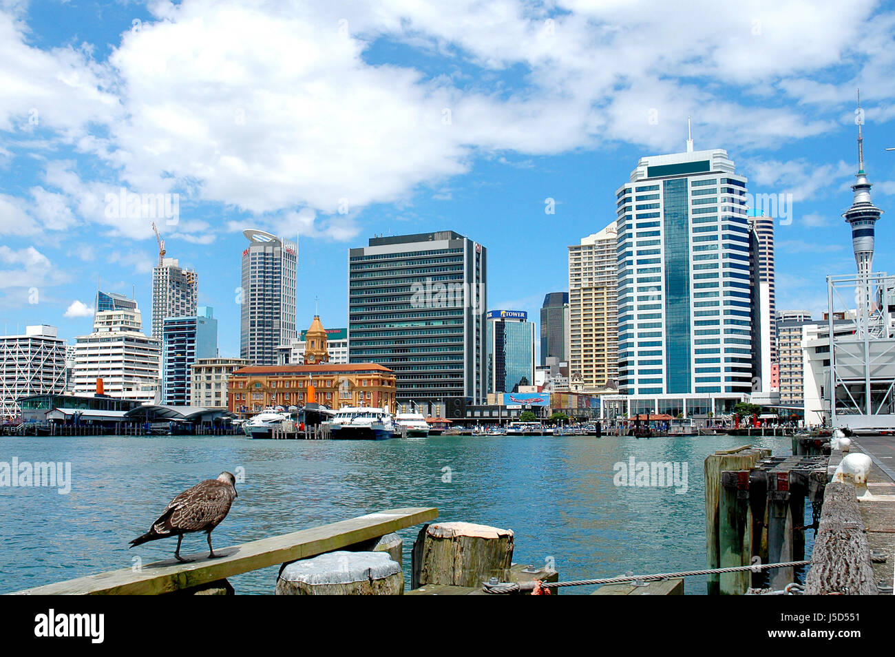 auckland skyline - bird's Stock Photo - Alamy