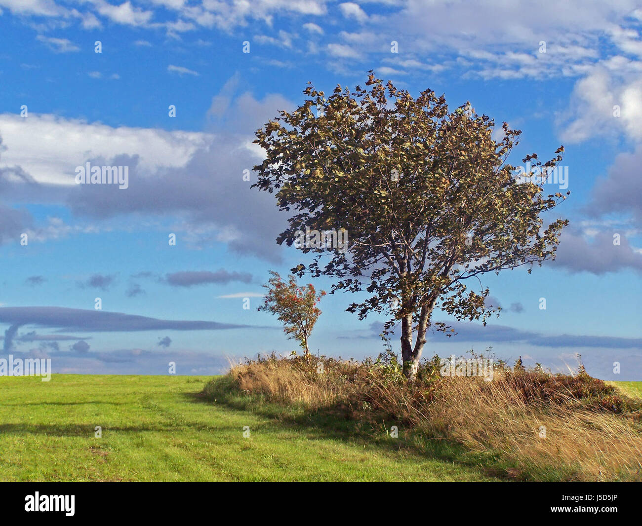 the wind is blowing Stock Photo - Alamy