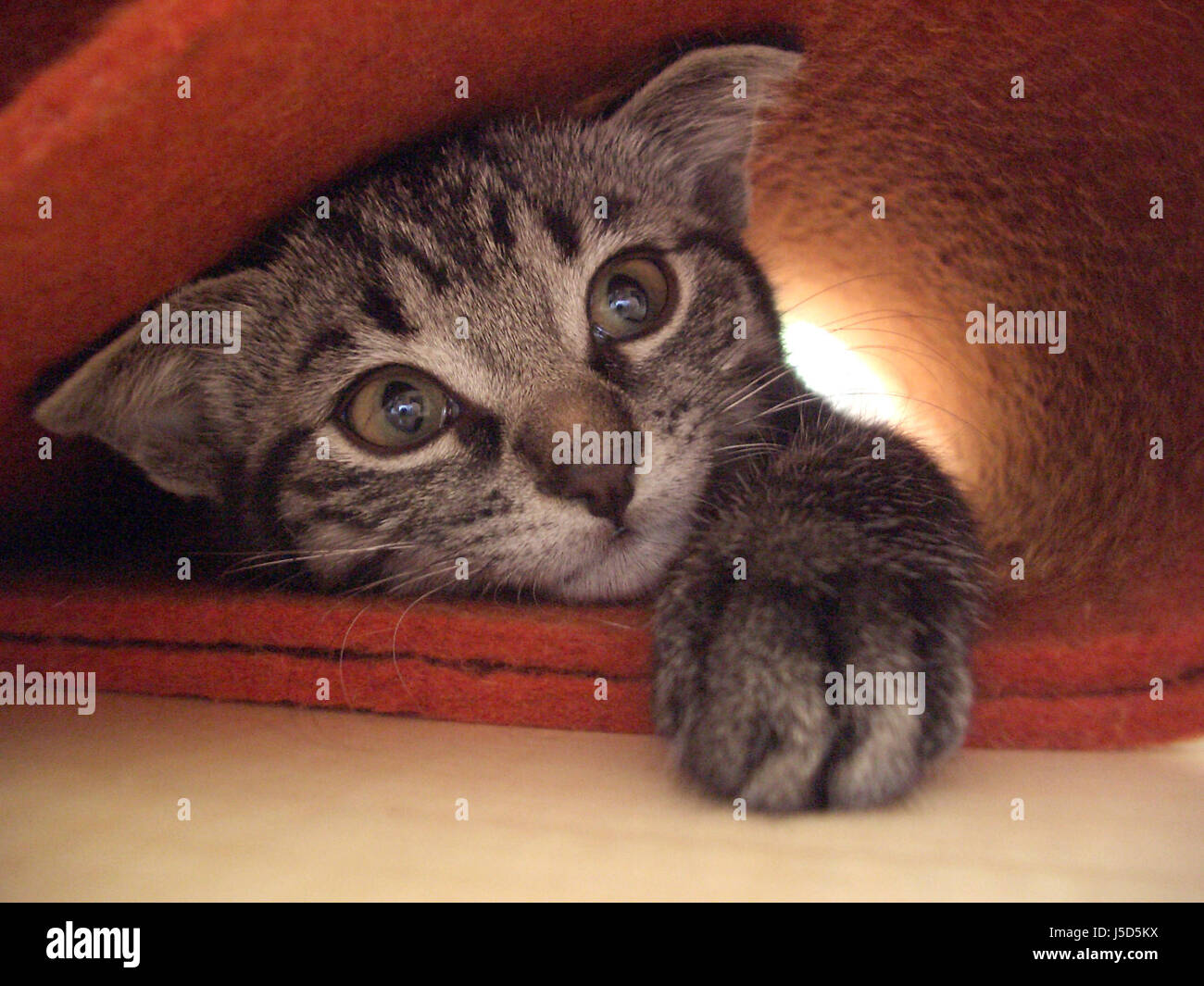 Gremlin hi-res stock photography and images - Alamy