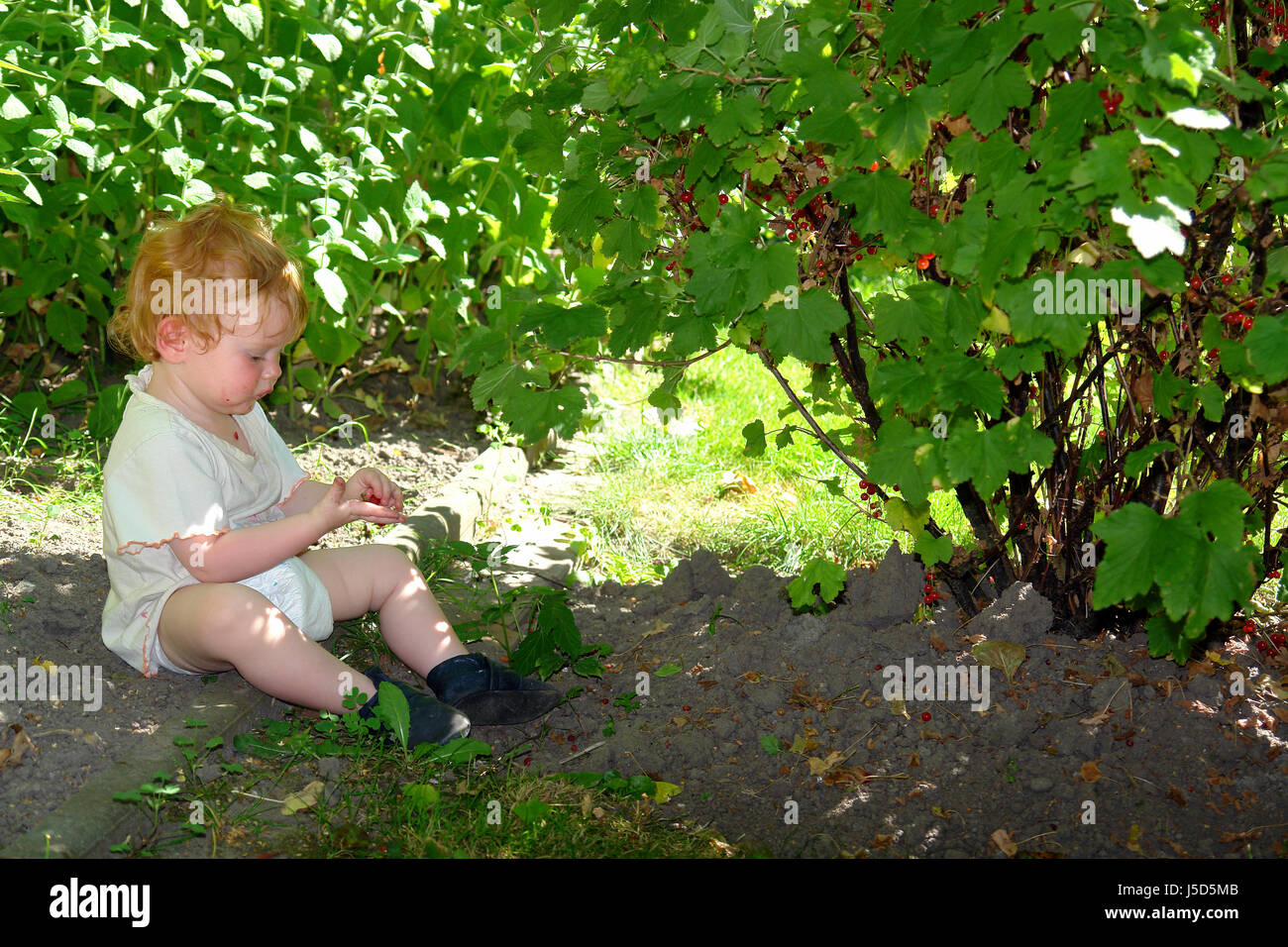 baby under berry bush Stock Photo - Alamy