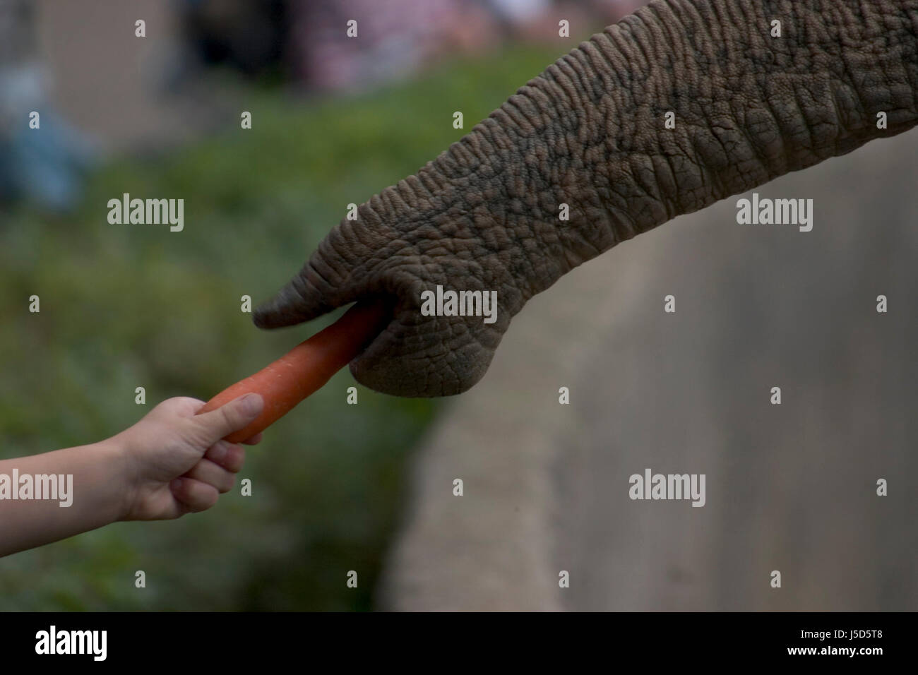 Kinderarm hi-res stock photography and images - Alamy