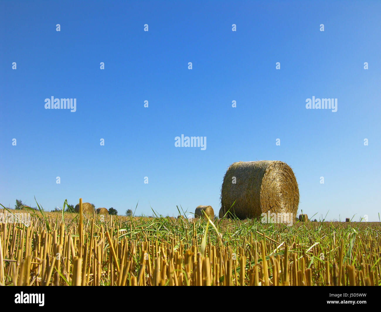blue green agriculture farming field hesse dry dried up barren straw ...