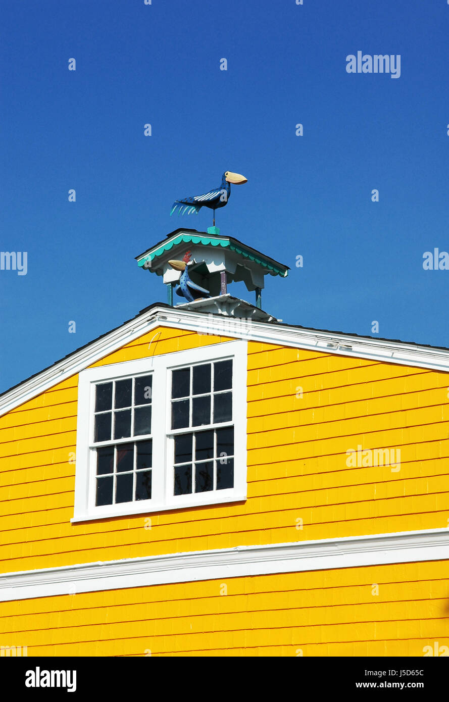 house building bird window porthole dormer window pane birds summer ...