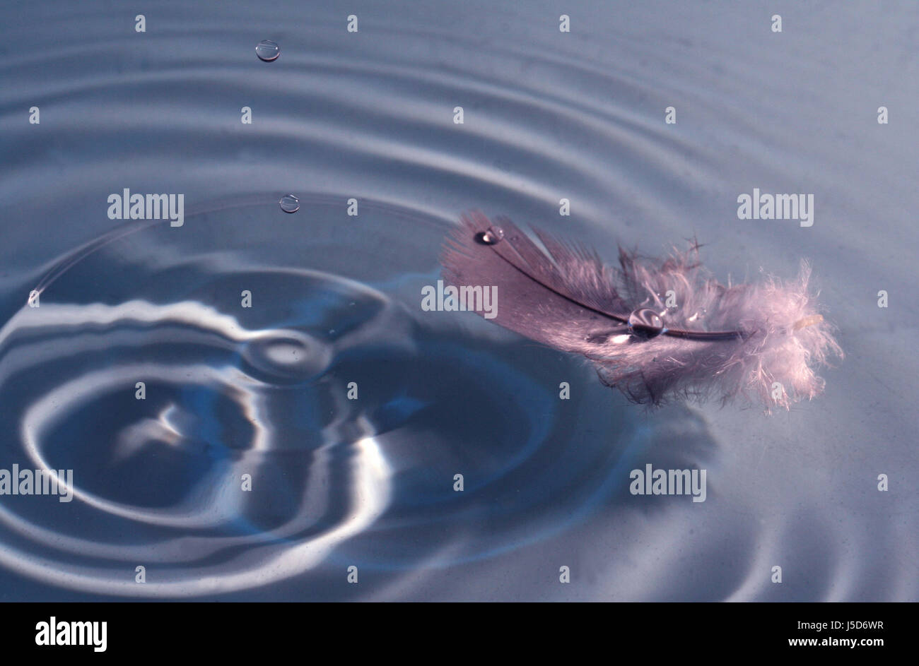Feather waves hi-res stock photography and images - Alamy