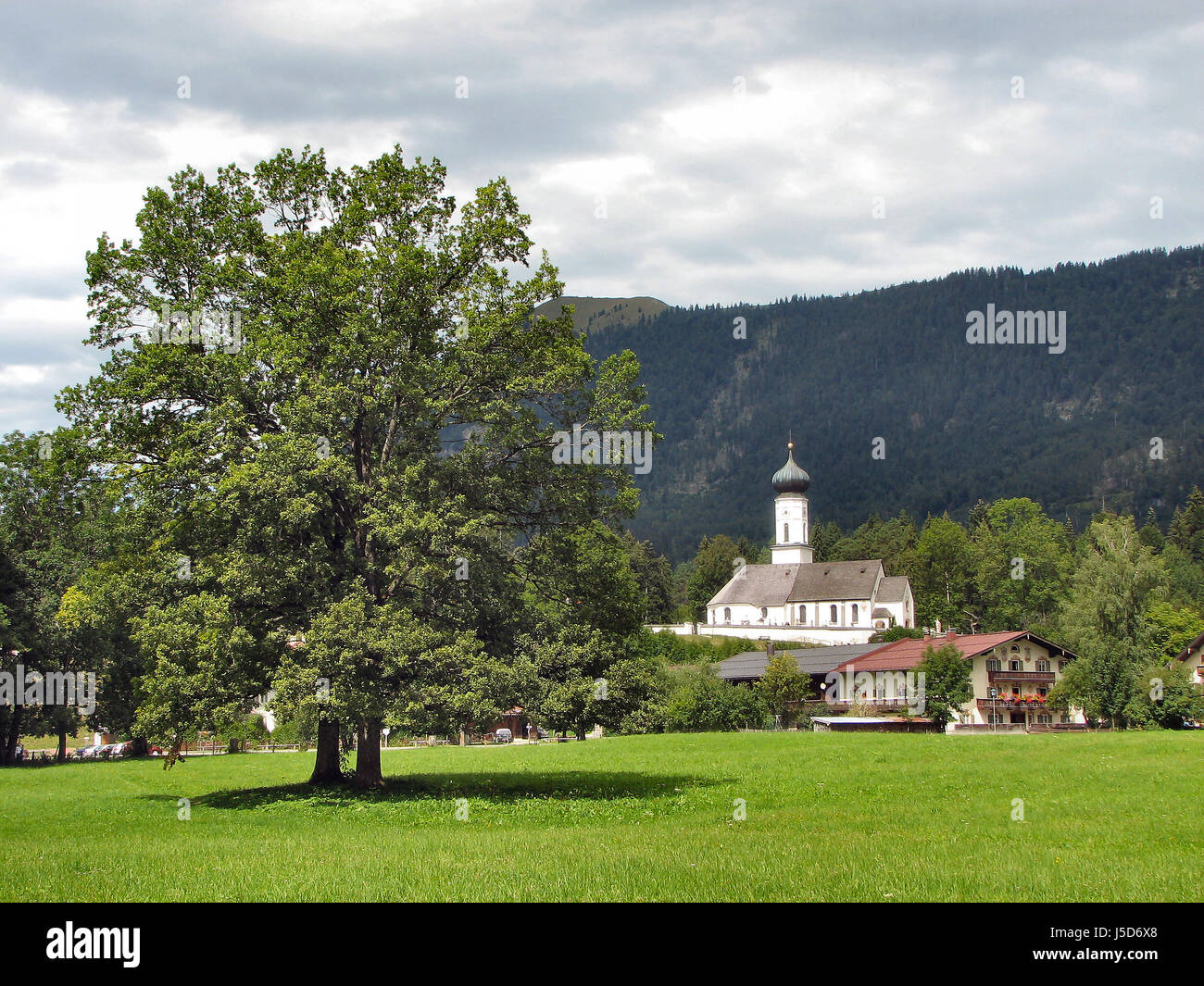 church tree deciduous tree bavaria farmhouse alps meadow firmament sky ...