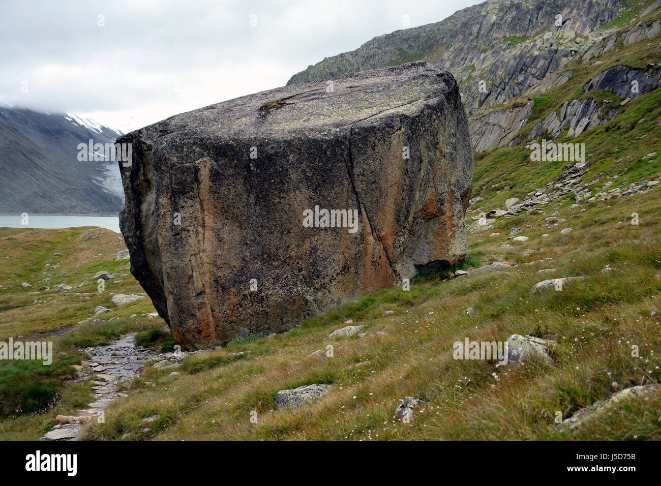 big large enormous extreme powerful imposing immense relevant spare ...