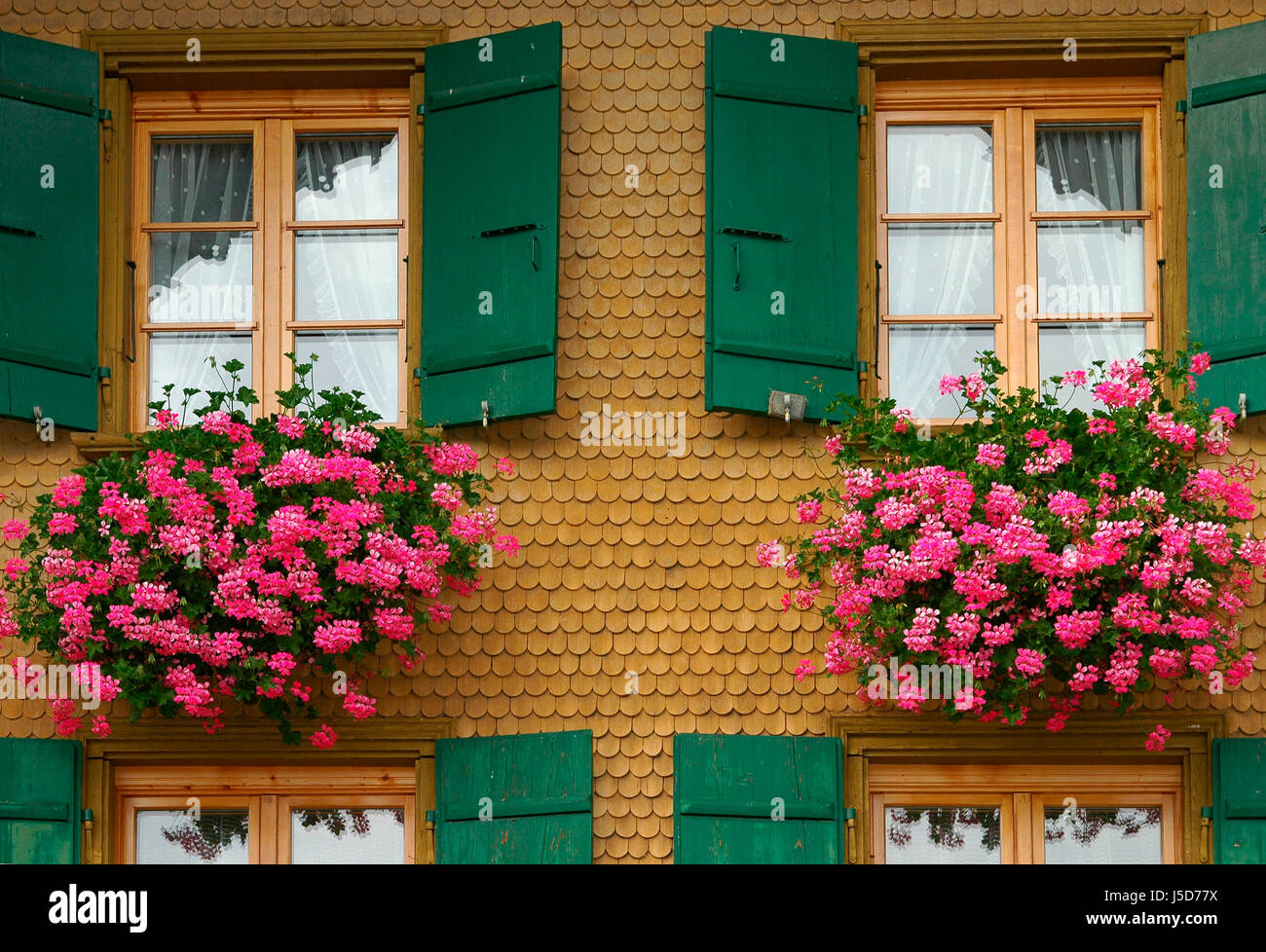 house building plant flower window porthole dormer window pane bloom ...