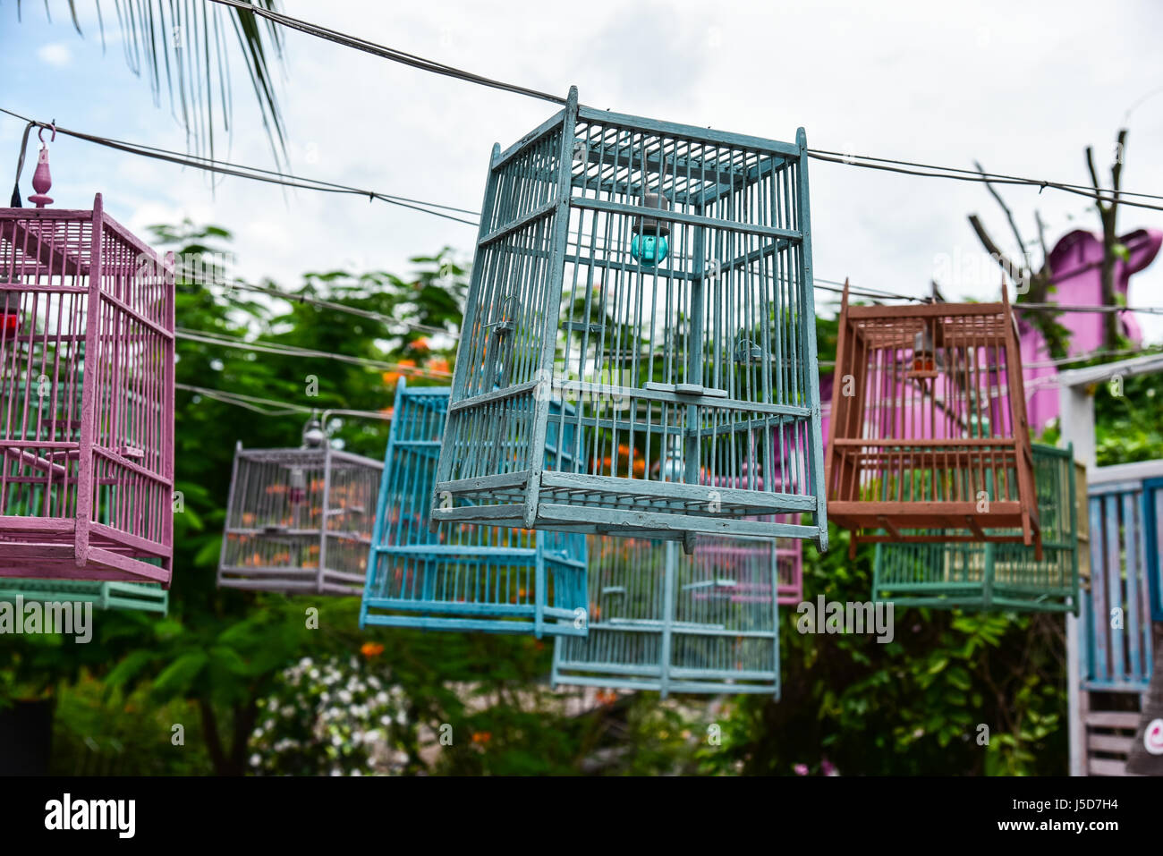 Colorful Birds cages Stock Photo - Alamy