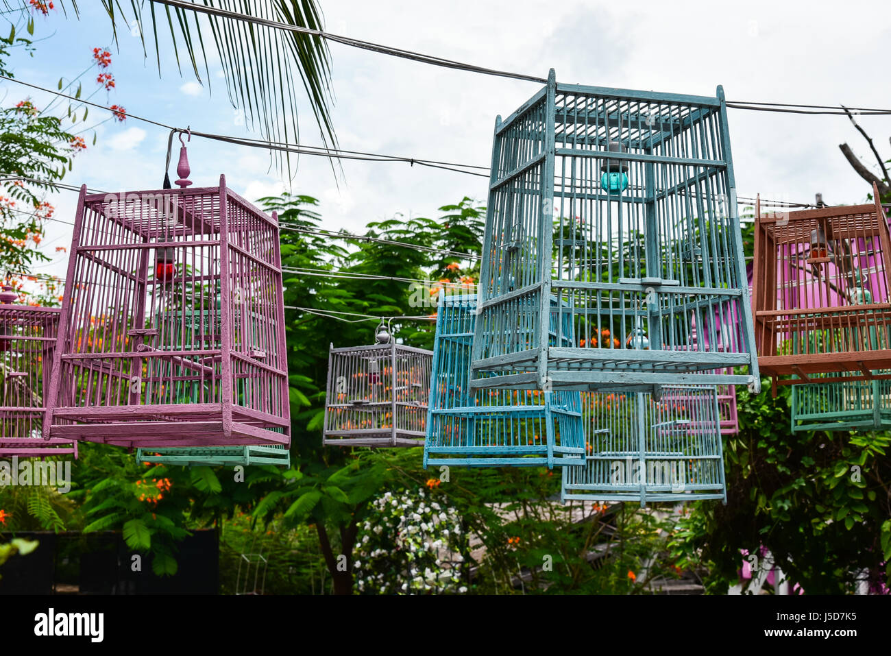 Colorful Birds cages Stock Photo - Alamy