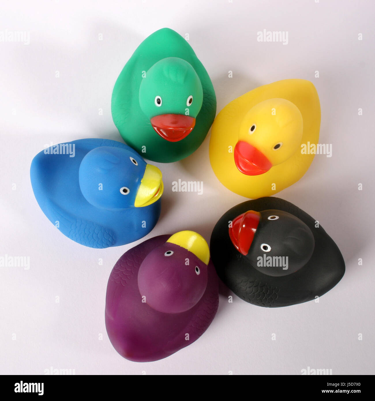 Violet ducks hi-res stock photography and images - Alamy